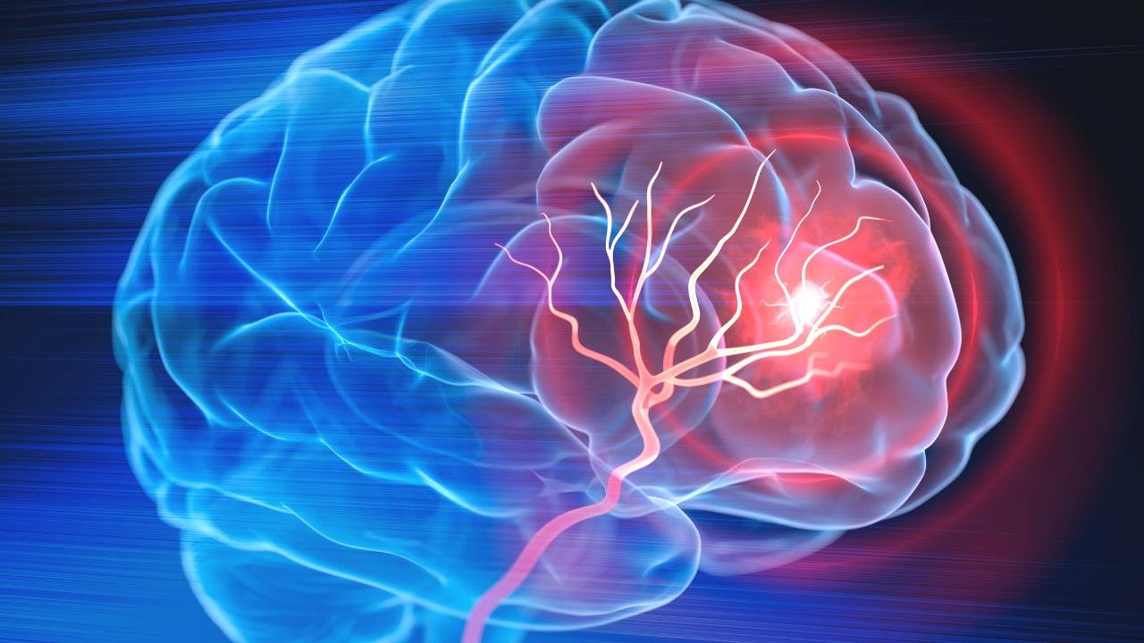 Beynin Gizemleri ve Nöron Haritalama Çalışmaları – MakineTamir